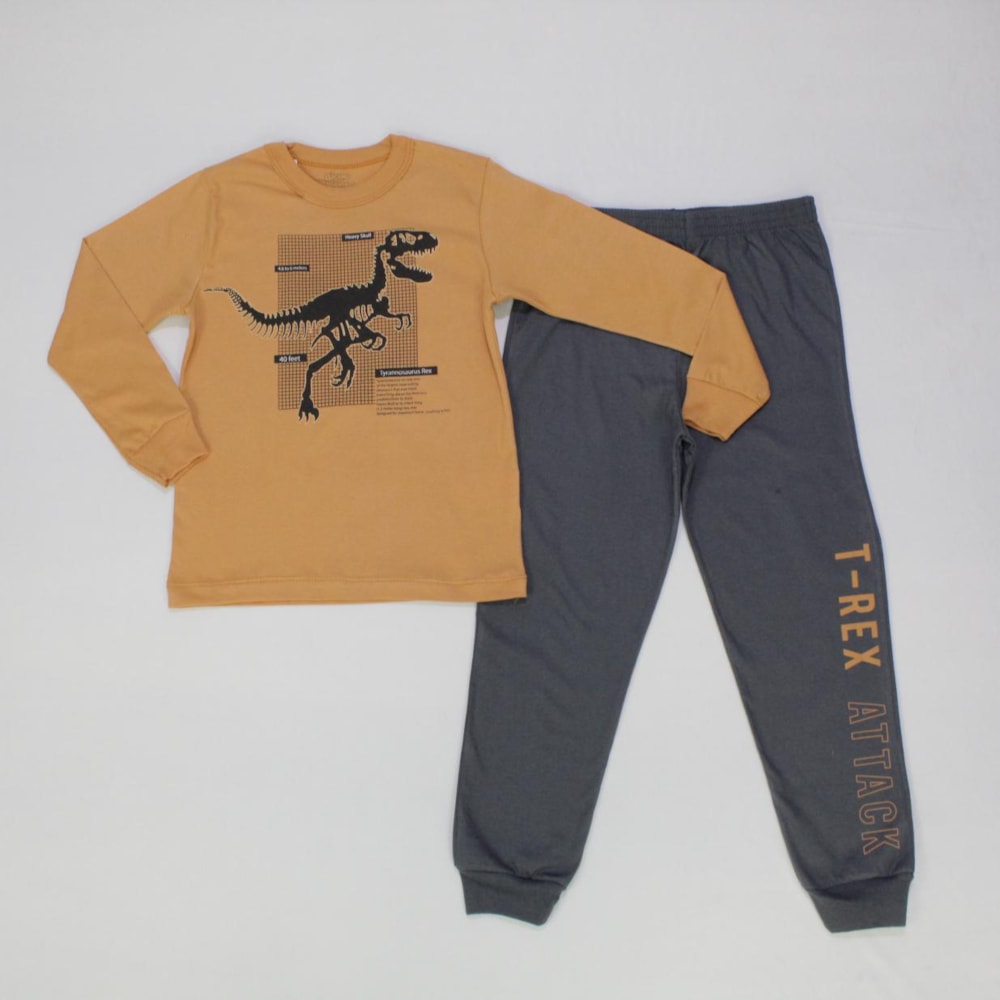 Pijama Longo Masculino Estampado Dinossauro Brilha No Escuro 9179